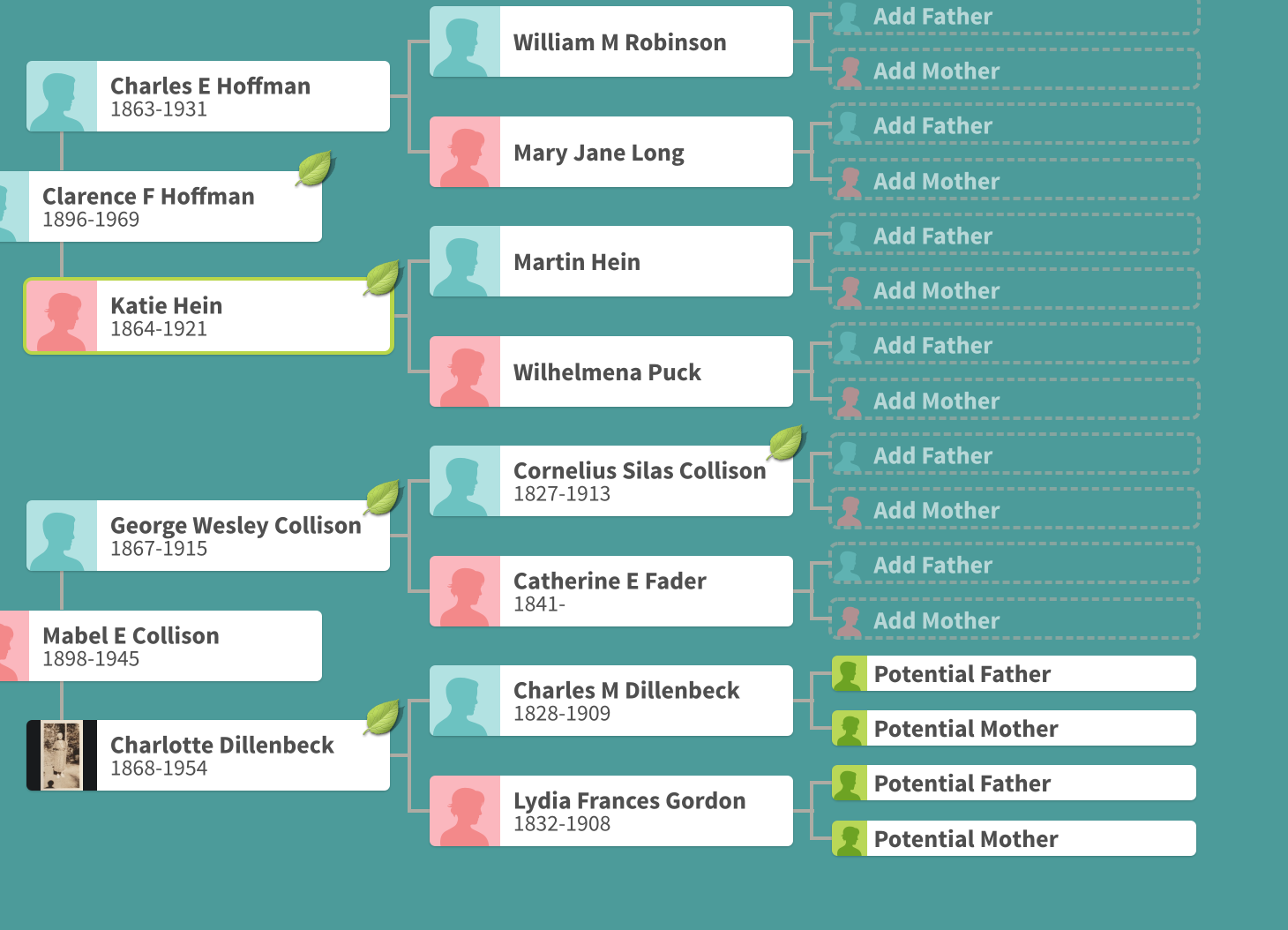 general | Decoding the Family Tree